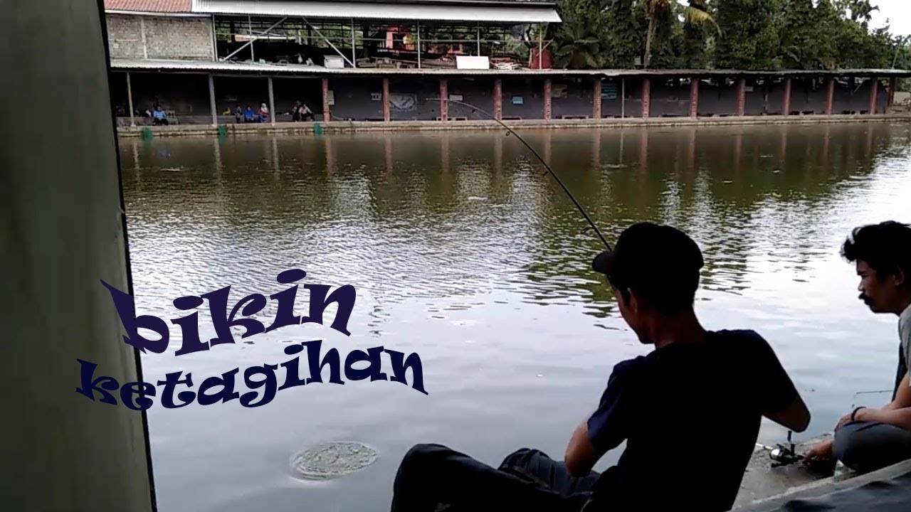 MANCING IKAN MAS DI KOLAM ALAM ENDAH - YouTube