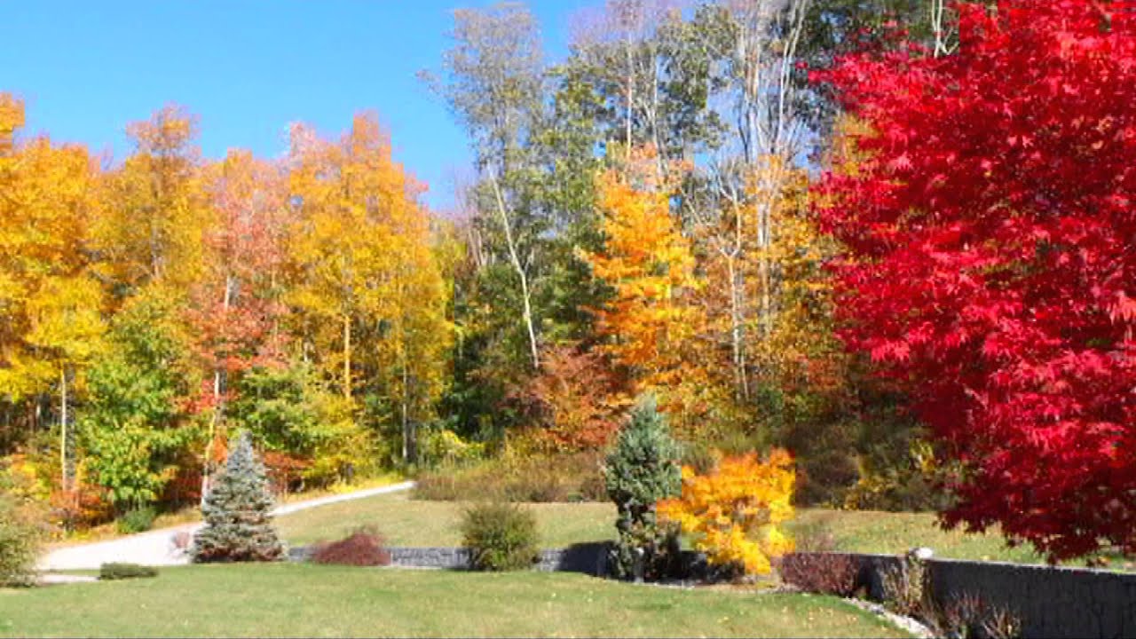 2015 CONNECTICUT FALL FOLIAGE by Walt Barrett - YouTube