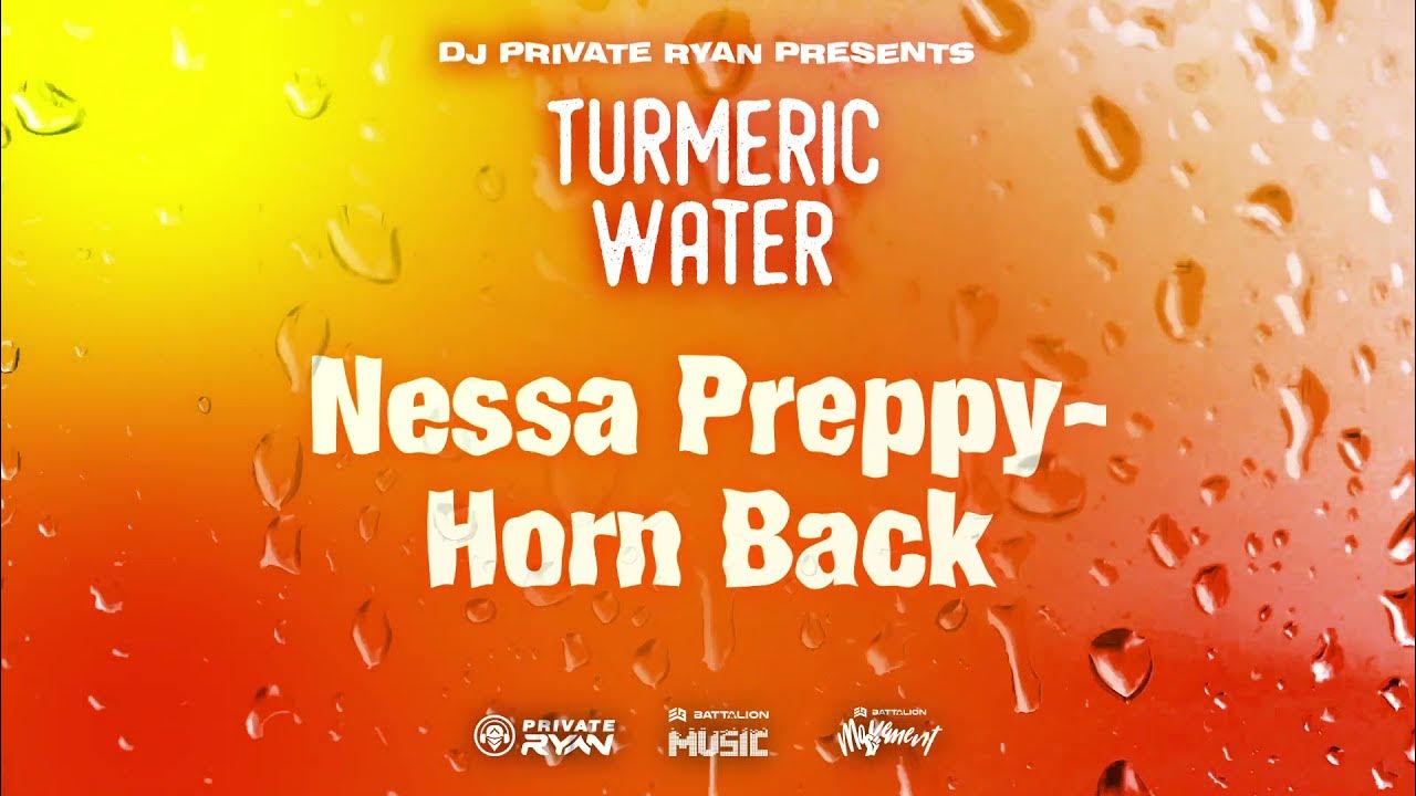 Nessa Preppy X Dj Private Ryan Horn Back Official Audio Turmeric