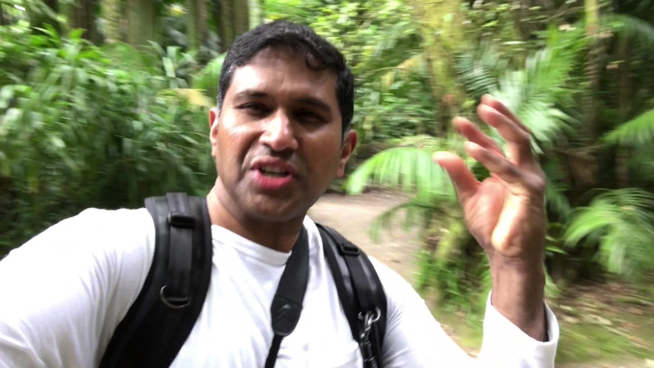 Disconnected with Nature life be healthy - YouTube