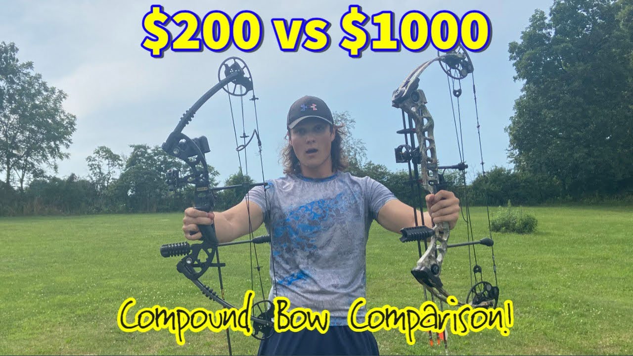 CHEAP vs EXPENSIVE Compound Bow!!! Which is Better??? - YouTube