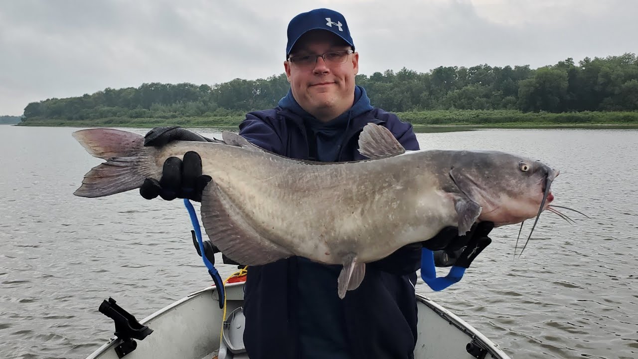 Channel catfish fishing - YouTube