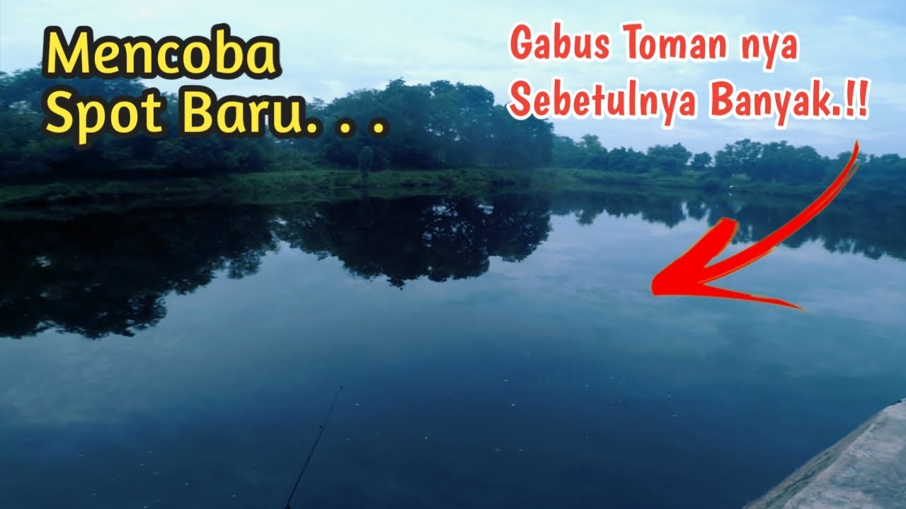 Mencoba Spot Baru Danau Setu sawangan || Mancing Ikan Liar - YouTube