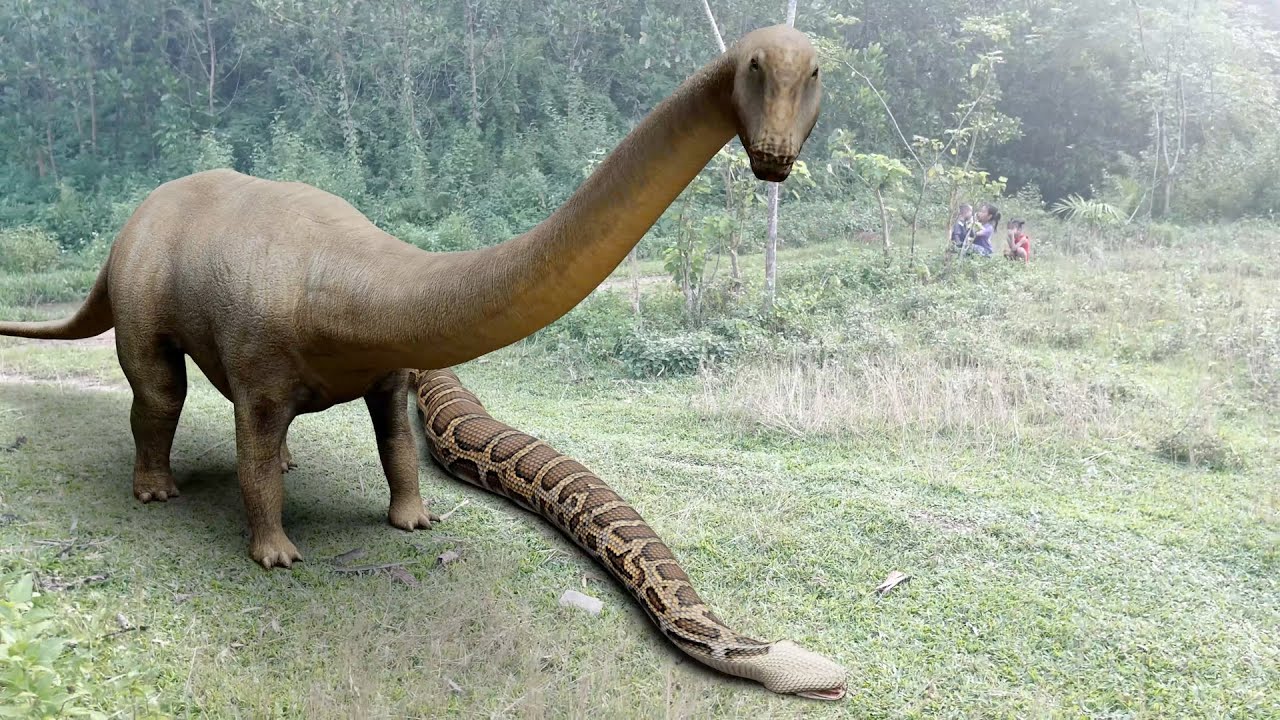 Fateful Fishing Trip – Family Trapped in a Swarm of Giant Venomous Pythons | python in real life ...