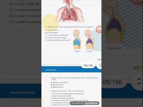 8-ci sinif Biologiya üzrə  K. S. Q No=4