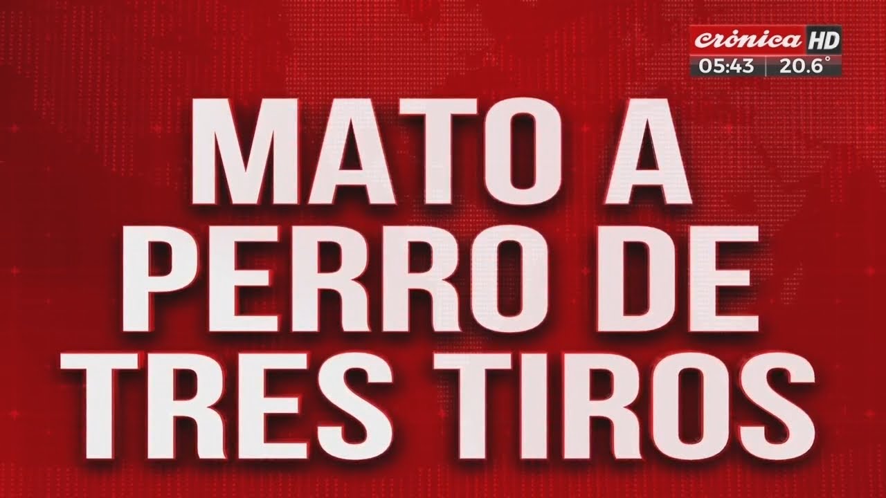 Tremendo video de hombre matando a perro de tres tiros - YouTube