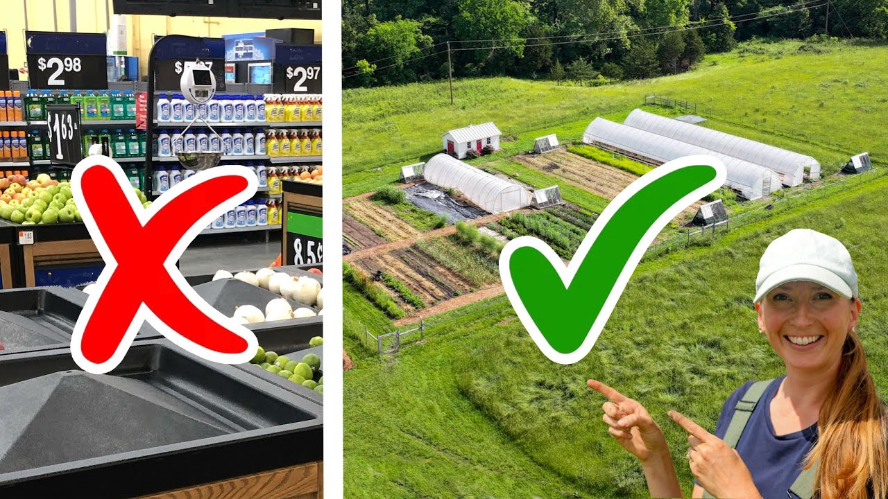 One Step Closer to Food Independence - YouTube
