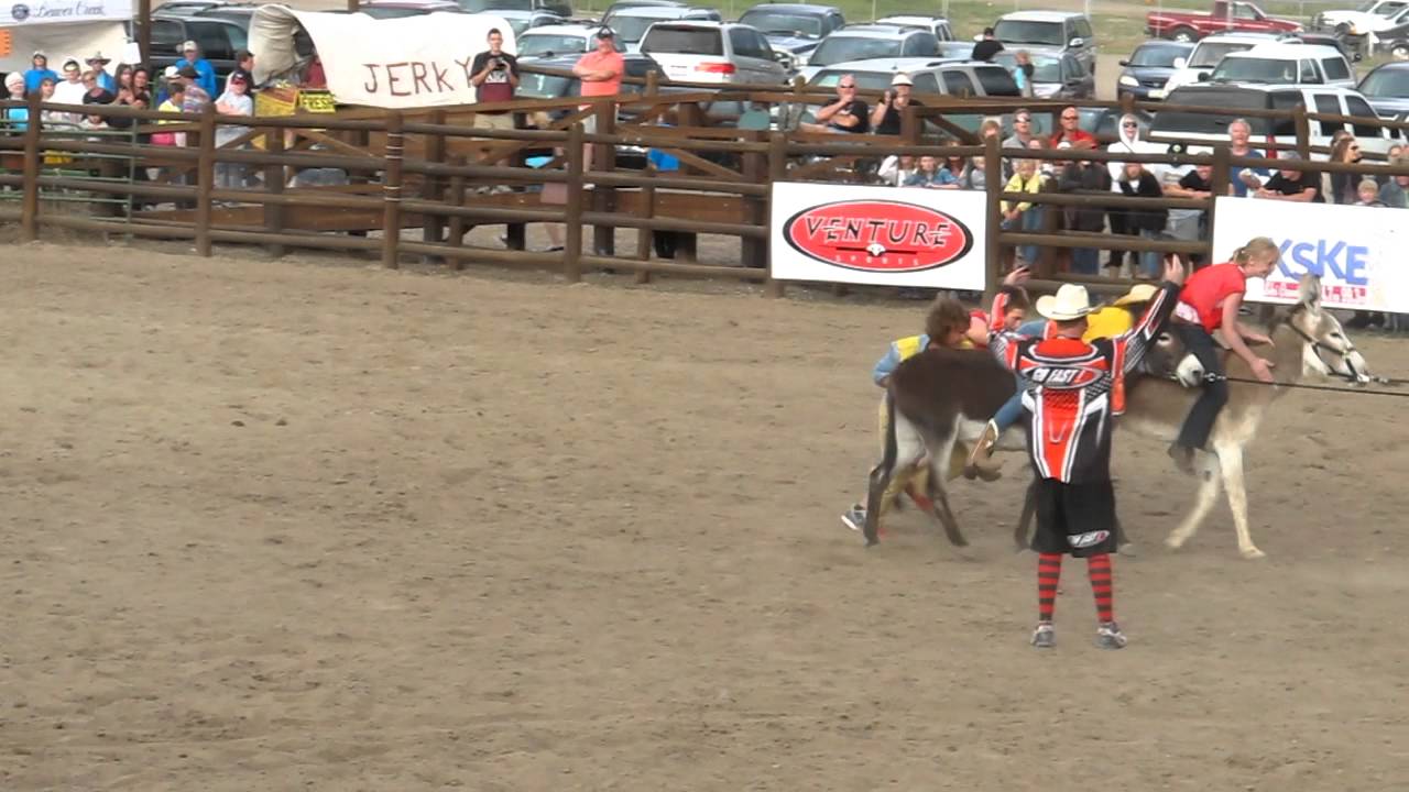 Rodeo Donkey Race 2011.MOV - YouTube