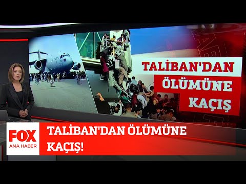 Taliban'dan ölümüne kaçış! 16 Ağustos 2021 FOX Ana Haber