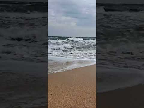 Bilgeh Deniz cimerlik istirahet