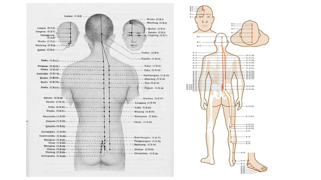 URINARY BLADDER CHANNEL OF FOOT TAIYANG POINTS - YouTube