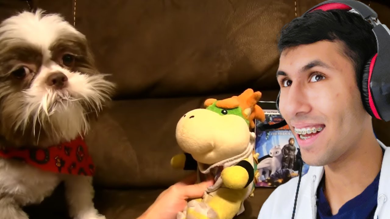 JUNIOR MEETS BROOKLYN T GUY'S DOG!!! Anand The Gamer Reacts : Bowser ...