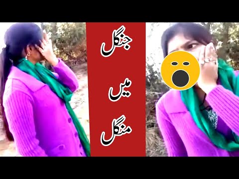 Jangle me mangle kia hota hai | IrshTv