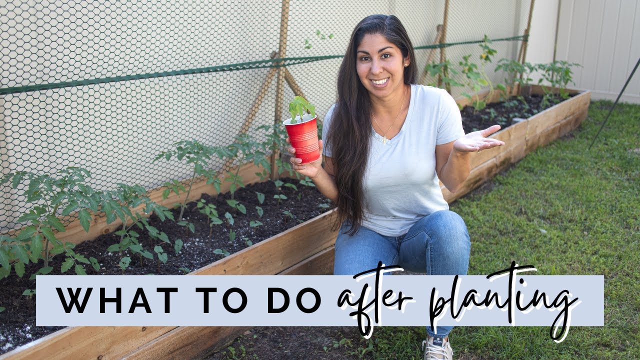 4 things to do AFTER planting | What to do after planting a garden ...
