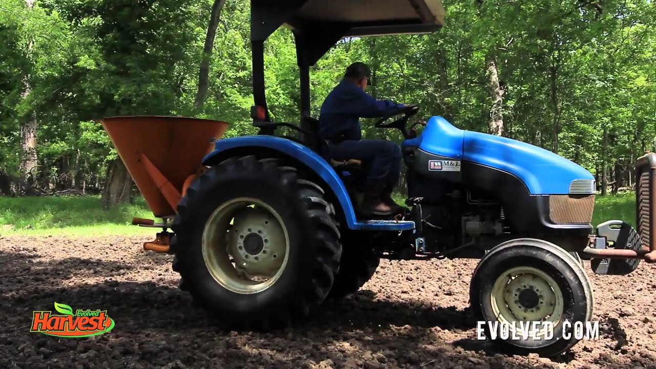 Evolved Planting Tips - YouTube