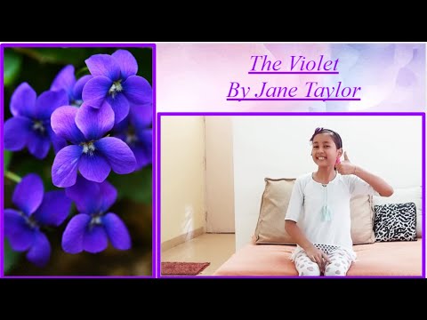 The Violet By Jane Taylor Poem Recitation | The beauty and the modesty ...