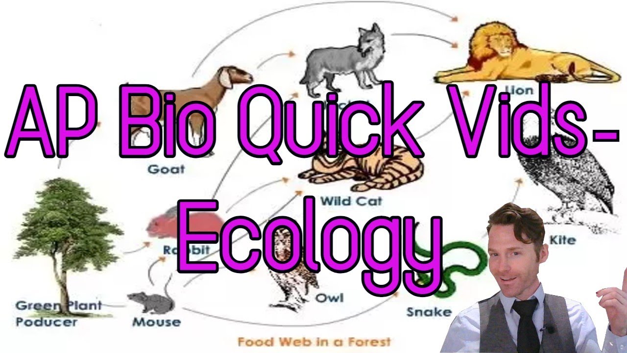 AP Bio Ecology Unit Quick vids- Ecology Intro - YouTube