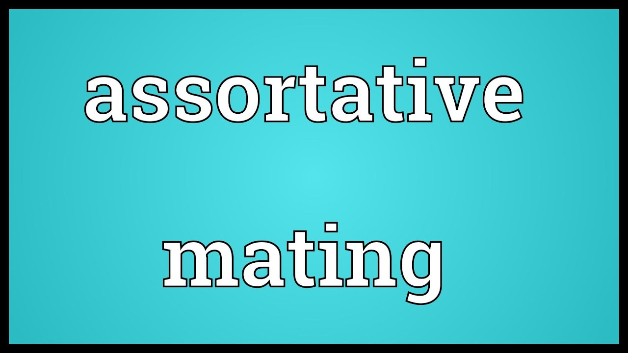 Assortative Mating Meaning YouTube assortative-mating-meaning-youtube