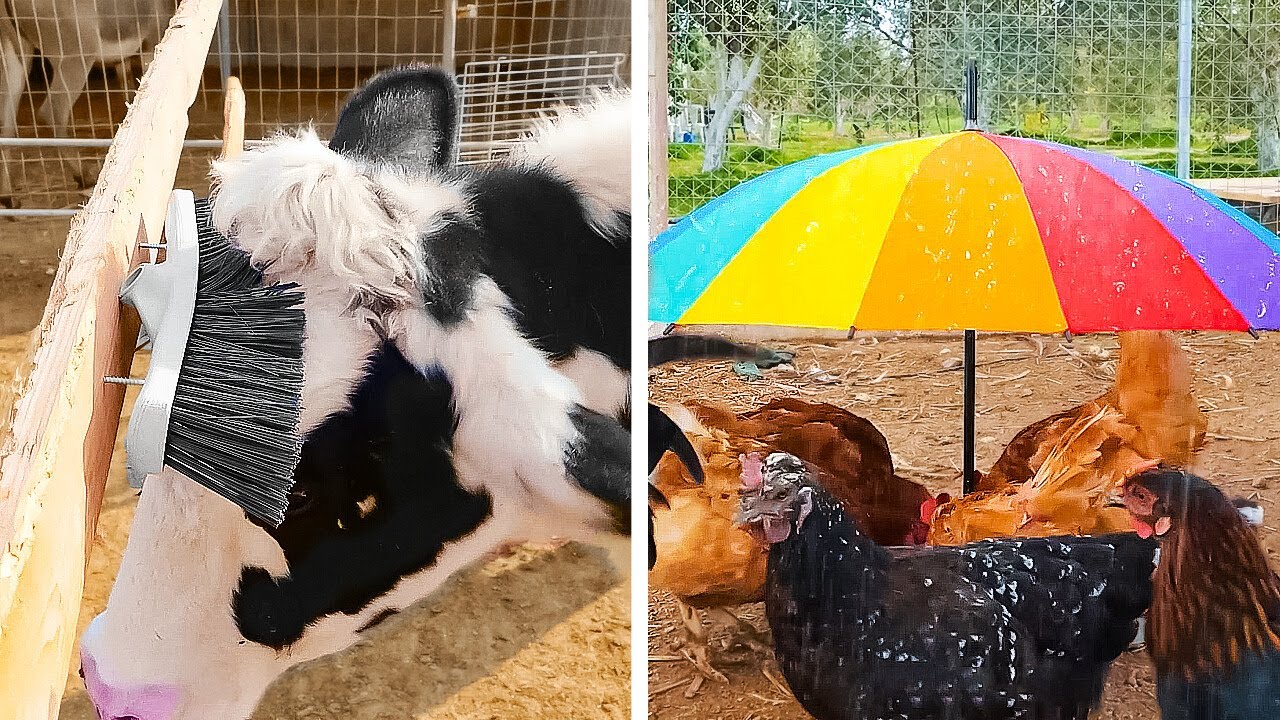 10 Genius Farm Hacks You Need to Try! - YouTube