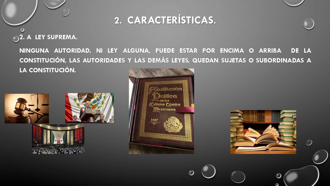 LA CONSTITUCIÓN DEFINICIÓN Y CARACTERÍSTICAS - YouTube