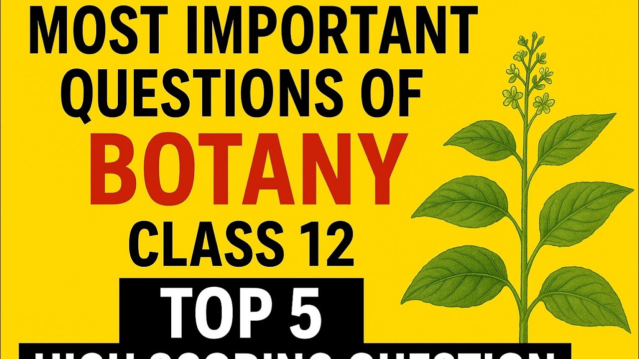 Most important questions of botany class 12th #jkbose #studywave - YouTube