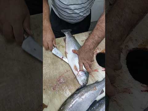 How to Clean Trout - Quick & Professional