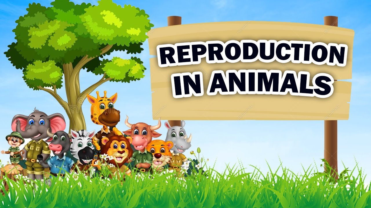 Reproduction in Animals | Class 8 | Science | NCERT | CBSE Board | Home ...