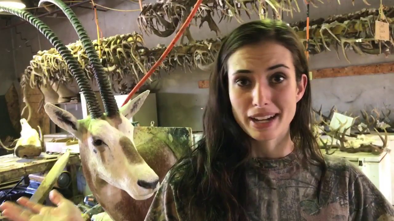 Model taxidermist turns heads and mounts them, too - YouTube
