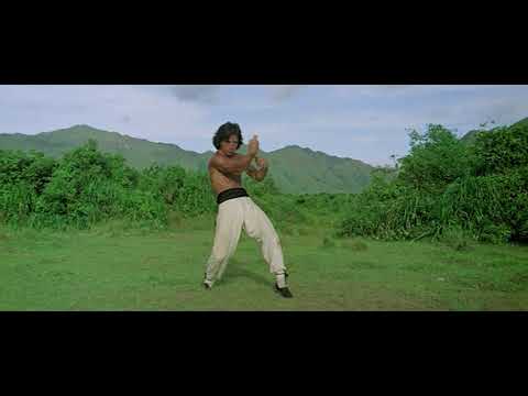 Пьяный мастер /Тренировка/ Стиль 8 пьяных богов.  Drunken master Training. Legendary style