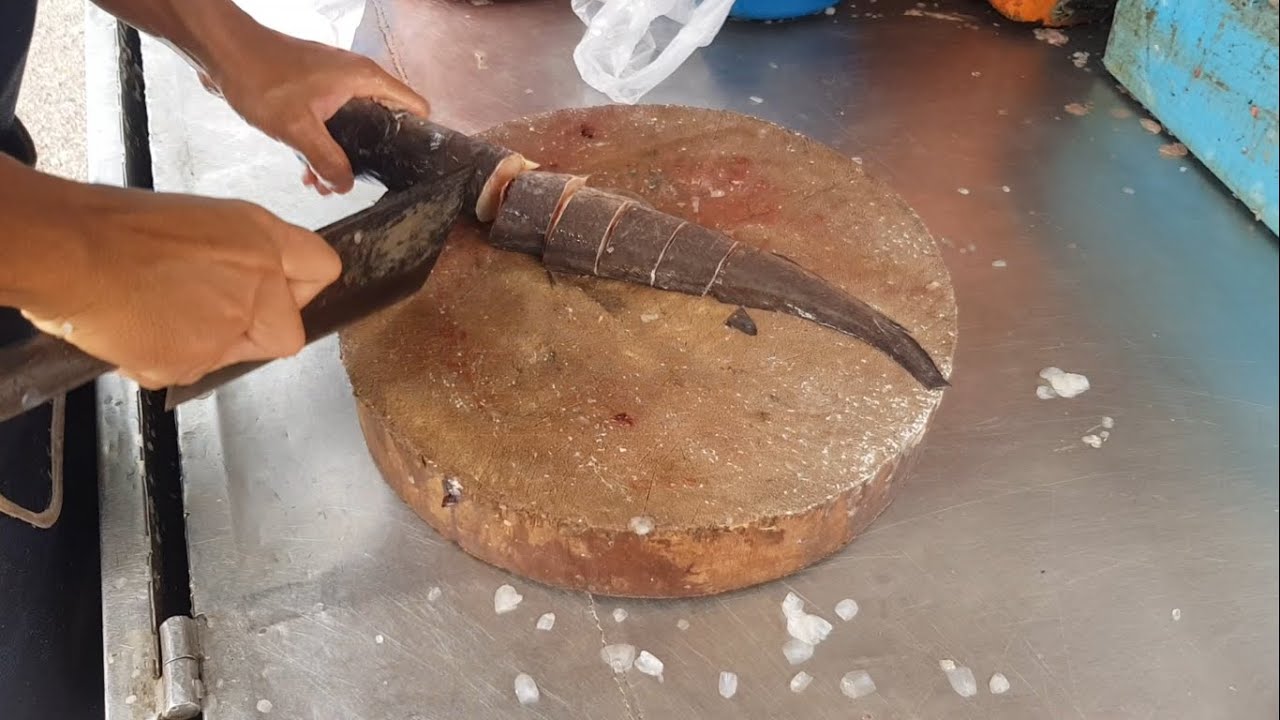 Fish Slicing & Cutting - YouTube
