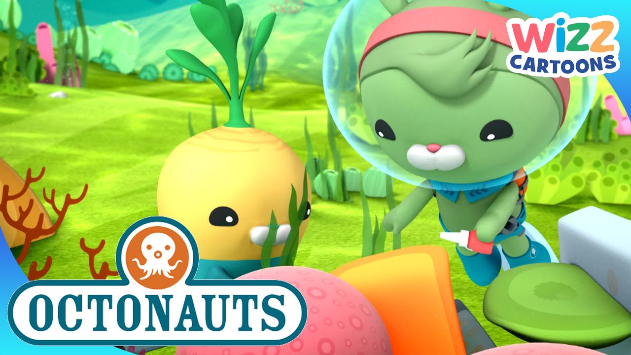 @Octonauts - Building an Artificial Reef | S3:EP4 | @WizzCartoons - YouTube