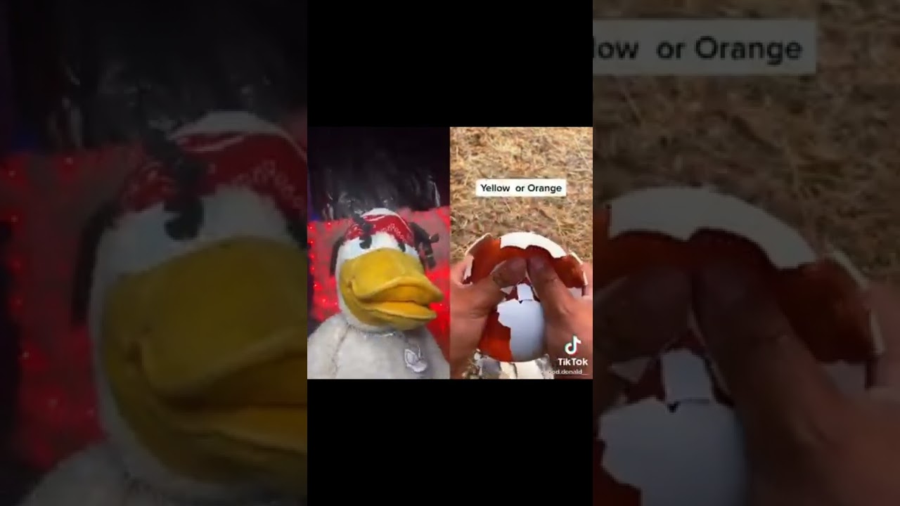 Hood Donald #shorts - YouTube