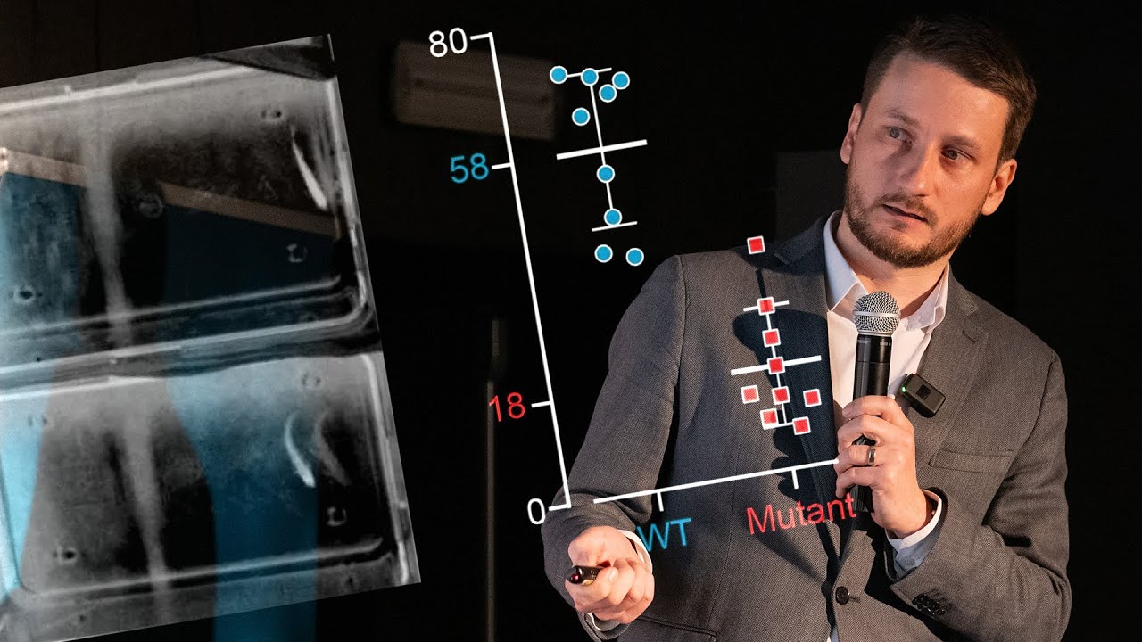 Čo nás môže naučiť ryba | Peter Fabian - YouTube