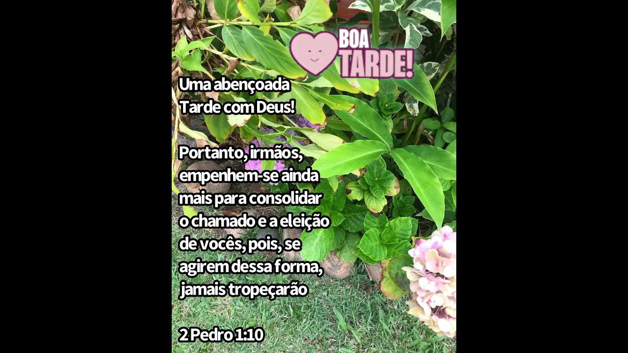 2 Pedro 1 10 reels jesus religion catolico f viral 2 Pedro 1 10 reels jesus religion catolico f viral
