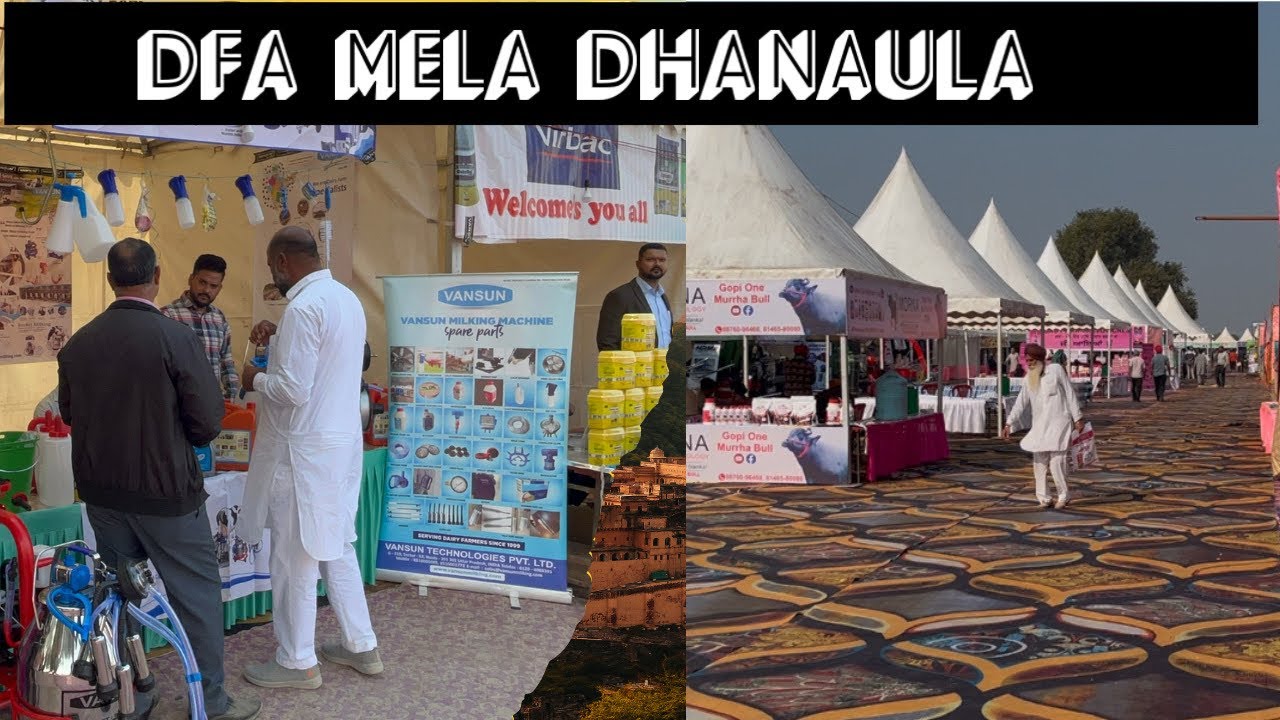 DFA mela Dhanaula mandi (Buffalo cow goat ) - YouTube