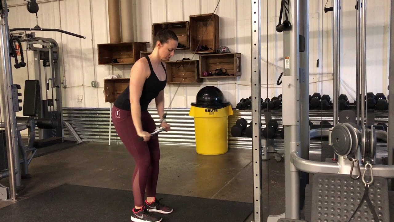 Straight Arm Pushdown - YouTube