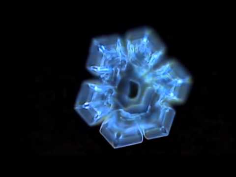 Masaru Emoto's Experiment in Gratitude