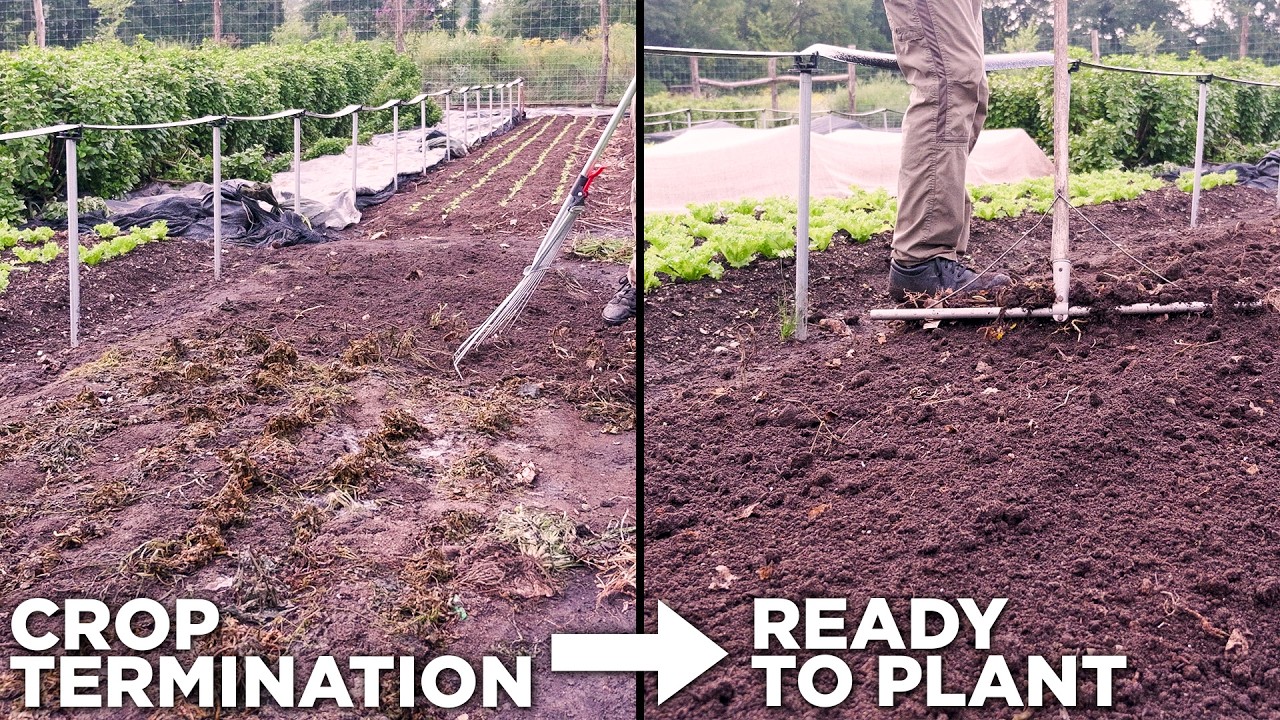 How to Transition Beds Between Crops Quickly | Tilmor E-Ox - YouTube