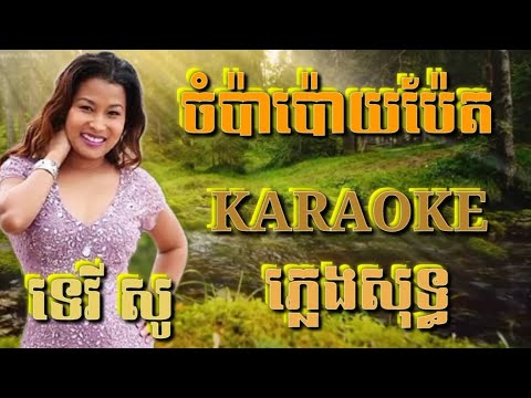 ចំប៉ាប៉ោយប៉ែត ( ស្រី ) ( ភ្លេងសុទ្ធ ) Karaoke Sing Along. Cover By Tevy So - YouTube