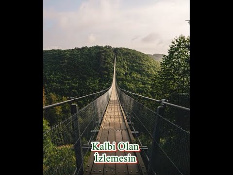 İlginç ve Komik Videolar, Eşek Şakaları | Bölüm 1 by CloseBox