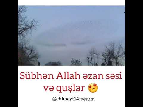 Wukur Allaha