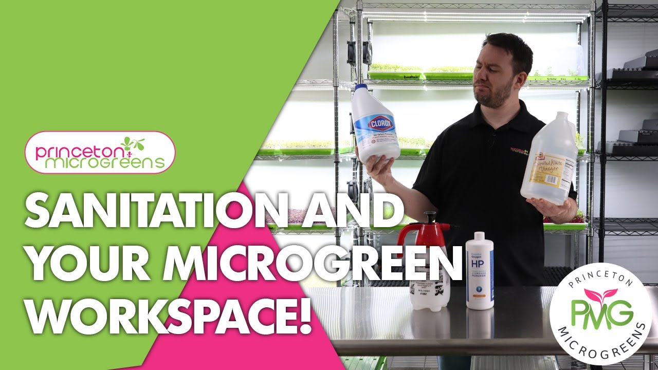How to Sanitize your Microgreen Workspace - YouTube