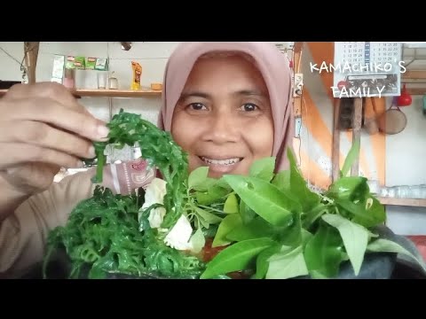 MUKBANG ASMR🥗SERBA LALAPAN HIJAU TANPA NASI🌿PAKIS REBUS KANGKUNG ...