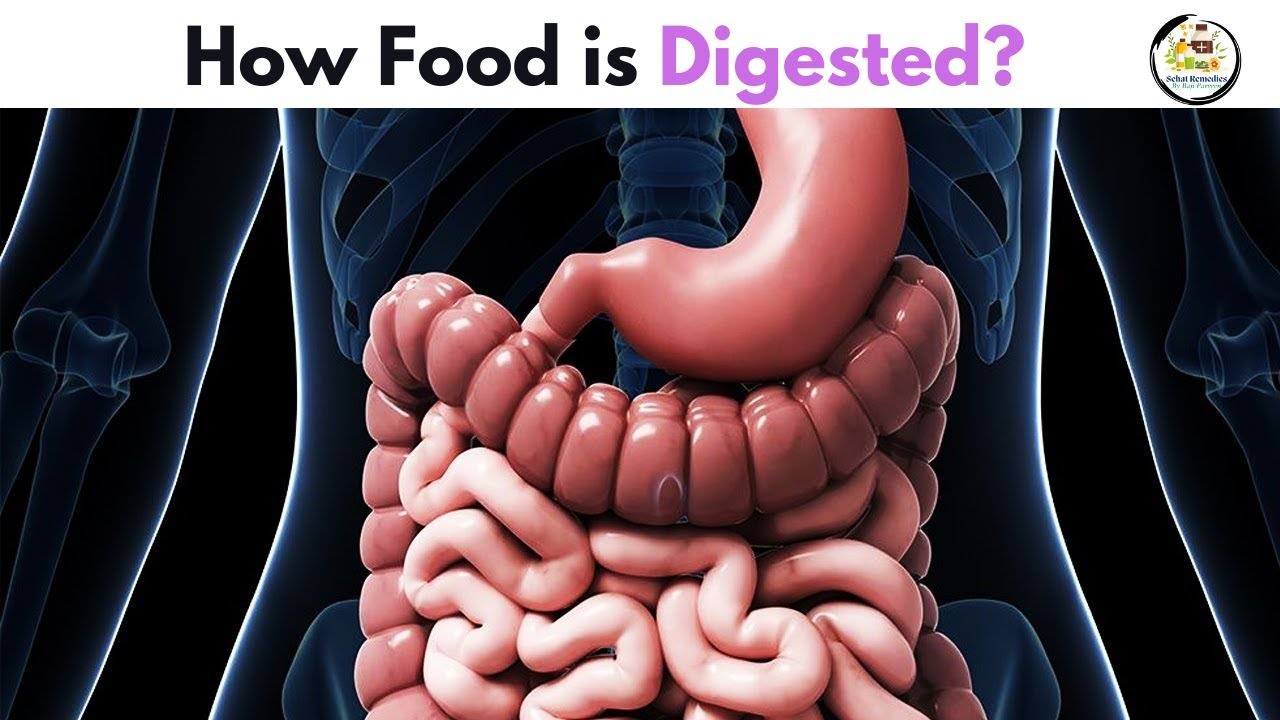 Digestion Problem Solution | Maide Ka Masla - YouTube