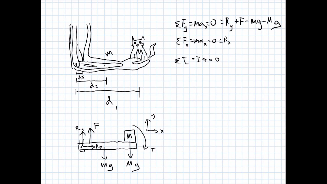 Torque and Reaction Force Example 1 - YouTube