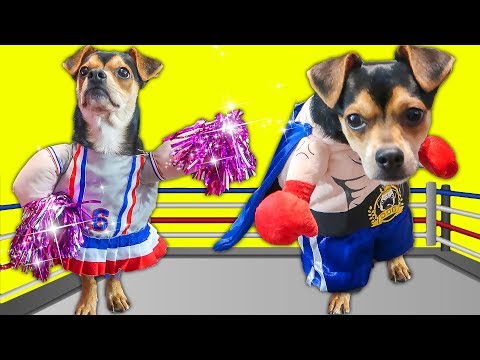 MİRA 'nın KÖPEĞİ ile KOMİK KOSTÜM PARTİSİ | Umikids Köpek Videoları