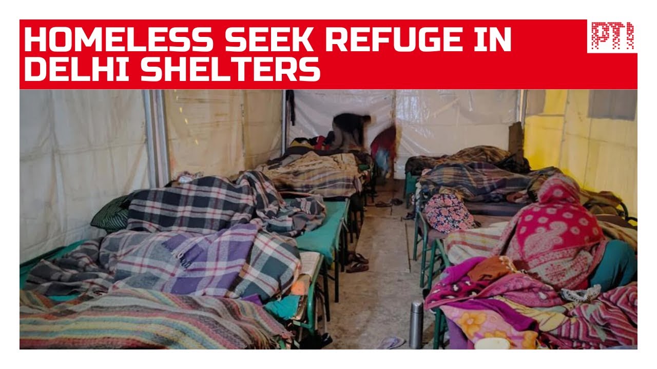 Refuge Shelter
