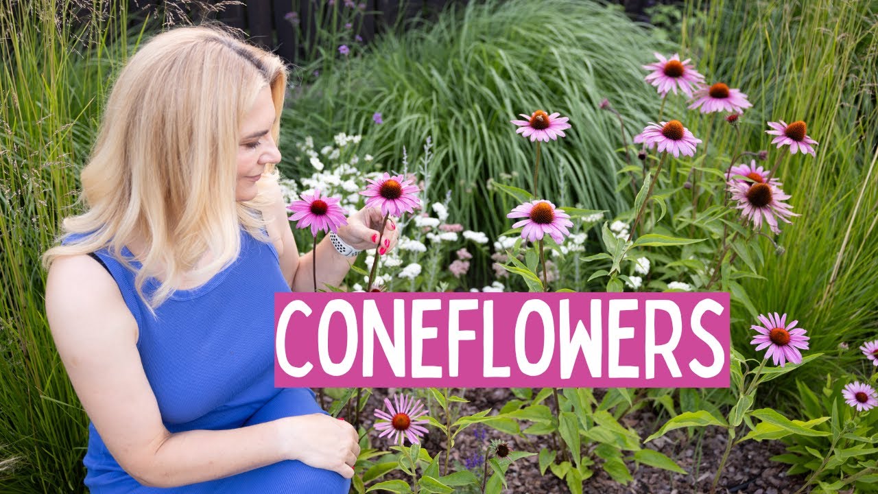 This Perennial Should Be Planted in Every Garden - Find Out Why ...
