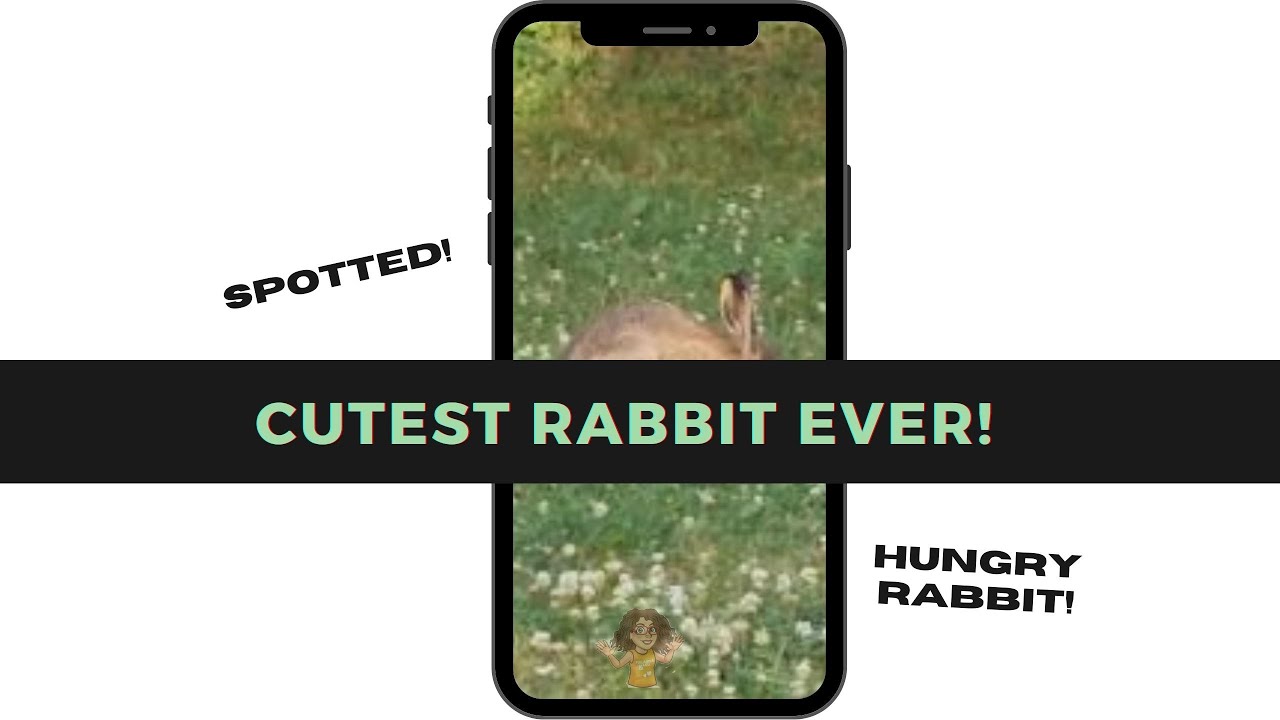 Cutest Rabbit In Finland! Spotted! Hot July 2021 - YouTube