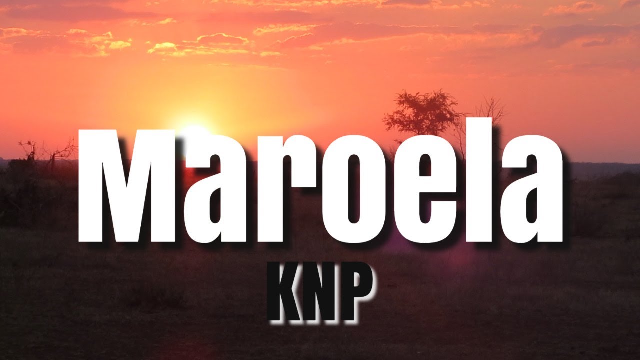 STAYING AT MAROELA CAMP IN THE KRUGER! - YouTube